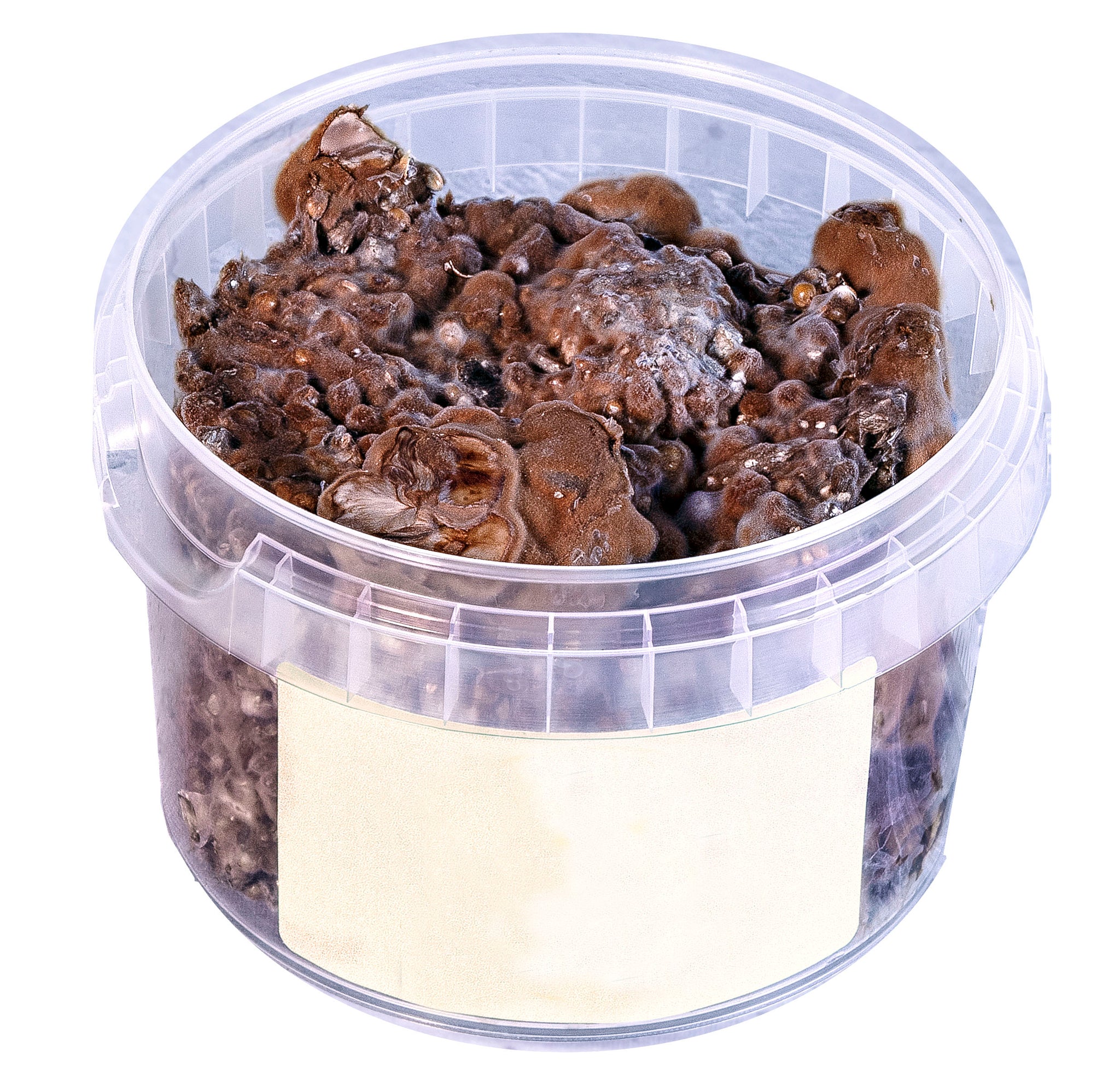 Magic Sclerotia Harvestbox – ProviThor